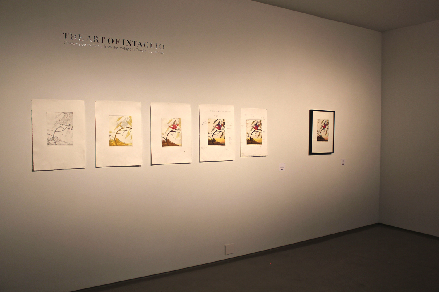The Art Of Intaglio Exhibit | Fosdick-Nelson Gallery at Alfred U