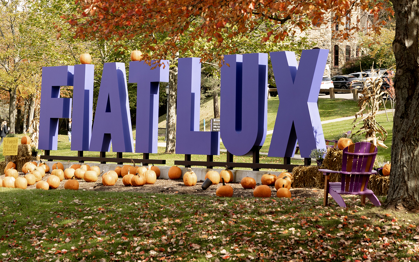 Our Campaign Priorities | Alfred Promise Campaign